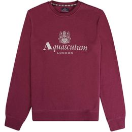 Aquascutum Active Big Logo Crew Neck Cordovan Red Sweatshirt