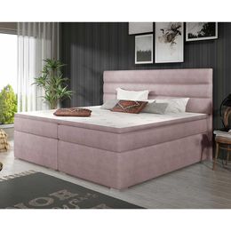 Pharao24.de Bett Polsterbett mit Bezug aus Webstoff