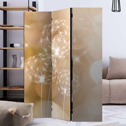 Pharao24.de Zimmer Trennwand mit Leinwand F&uuml;llung Pusteblumen Motiv