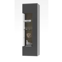 Pharao24.de Vitrine H&auml;ngevitrine in Dunkelgrau mit drei Glasb&ouml;den