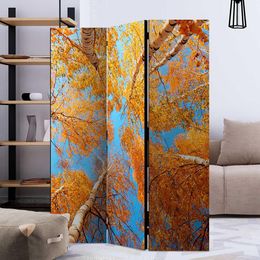 Pharao24.de Trennwand mit Wald Motiv Birken Herbst