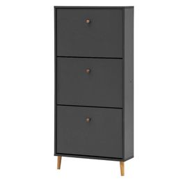 Pharao24.de Schuhgarderobe Garderobenschuhschrank in Anthrazit matt mit Zweifu&szlig; Gestell