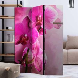 Pharao24.de Paravent Raumteiler floral Pink und Rosa Orchideen Motiv