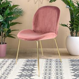 Pharao24.de Esstisch St&uuml;hle in Altrosa Samt modern (2er Set)
