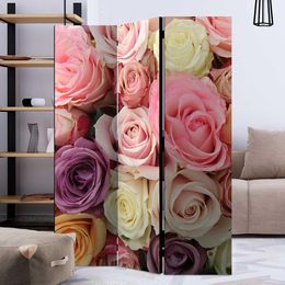 Pharao24.de Trennwand in Bunt Rosen Motiv