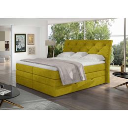Pharao24.de Boxspringbett Bett in Currygelb 62 cm Einstiegsh&ouml;he