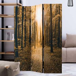 Pharao24.de Fotoprint Paravent mit Wald Motiv Herbst Landhausstil