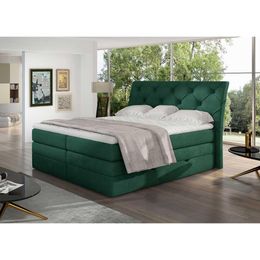 Pharao24.de Springboxbett Polsterbett aus Velours mit Bettkasten
