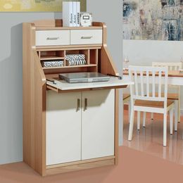 Pharao24.de Sekret&auml;rschrank in Creme Wei&szlig; und mit Buche furniert 120 cm hoch