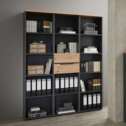 Pharao24.de B&uuml;roregal Wand in Wildeichefarben Dunkelgrau (dreiteilig)