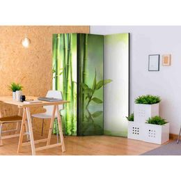 Pharao24.de Spanische Wand mit Bambus Motiv drei Elemente