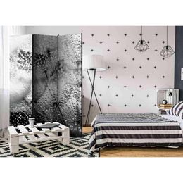 Pharao24.de Spanische Wand mit Pusteblumen und Regentropfen modern