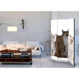 Pharao24.de Fotodruck Paravent mit Katzen Motiv modern