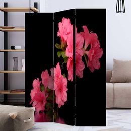 Pharao24.de Blumenmotiv Paravent in Rosa und Schwarz Fotodruck