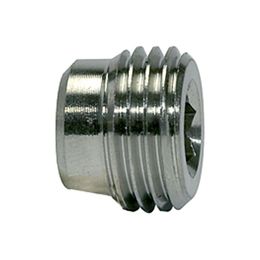 Riegler Verschlussschraube, Innensechskant, ohne Bund, G 1/4, ES 1.4571 (252.102-ES)