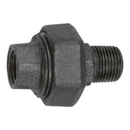 Riegler Verschraubung 331, flachdichtend, R 1, Rp 1, Temperg. schw. (TFV 331-10-DS)