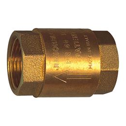 Riegler R&uuml;ckschlagventil, reduzierter Durchgang, G 1 1/4, 20 mbar (227.44)