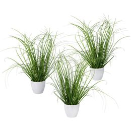 Kunstgras Creativ green "Grasbusch", gr&uuml;n, H:40cm, Kunststoff, Kunstpflanzen, 3er Set, im dekorativen Kunststofftopf