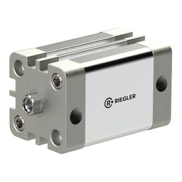Riegler Kompaktzylinder, doppeltwirkend, IG, K-&Atilde;&tilde; 100, Hub 50, G 1/8, 15.DMI.100050)