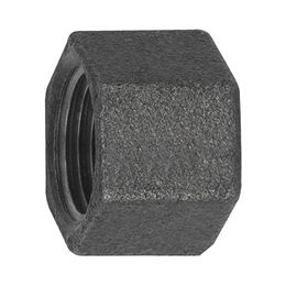 Riegler Kappe 300, Rp 2 i. Temperguss schwarz (TFK 300-20-S)