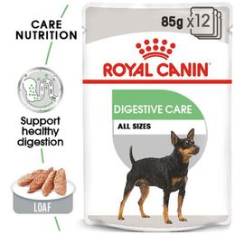 Royal Canin DIGESTIVE CARE Nassfutter f&uuml;r Hunde mit empfindlicher Verdauung 12x85g