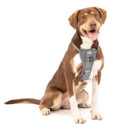 PetSafe Kurgo Tru-Fit Autosicherheitsgeschirr f&uuml;r Hunde, Gr&ouml;&szlig;e M, Grau