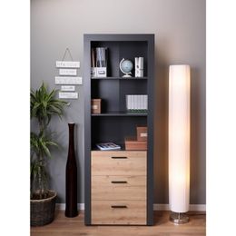 Inter Link Standregal B&uuml;cherregal Corbeto - Anthrazit und Eiche Artisan Nachbildung