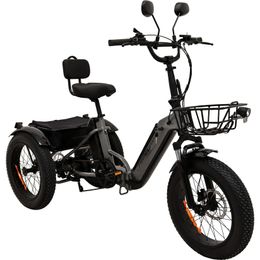 Remington R100 E Bike Elektro Dreirad 20 Zoll Elektrodreirad mit 2 Akkus bis 120 km Pedelec City mit tiefem Einstieg klappbar
