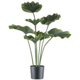 Gasper Kunstpflanze Strahlenpalme
