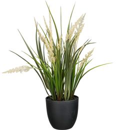 Gasper Kunstpflanze Gras im Topf