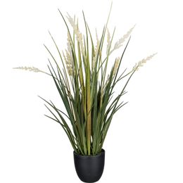 Gasper Kunstpflanze Gras im Topf