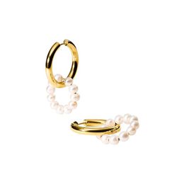PURELEI Creolen Core Collection 2110-Earring-Honu-Gold