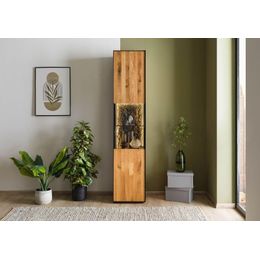 Vitrine Wildeiche 43x45x200 natur ge&ouml;lt STARNBERG #05