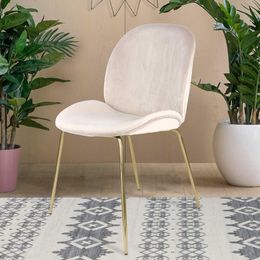 Pharao24.de Samt St&uuml;hle in Beige Metallgestell in Messingfarben (2er Set)