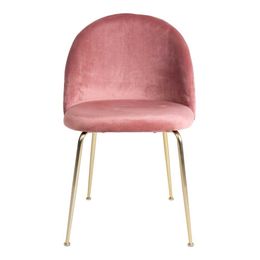 Pharao24.de Samt St&uuml;hle in Rosa Metallgestell in Messingfarben (2er Set)