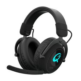Qpad Gaming-Headset QH900 kabellos