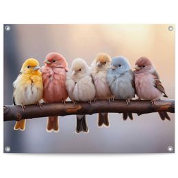 Poster Reinders "Pastel Birds", bunt (farbe bild(er): mehrfarbig), B:80cm H:60cm T:0,1cm, Bilder, Poster, Garten - Gartenv&ouml;gel - Mehrfarbig - Leinwand - Tiere - 80x60 cm