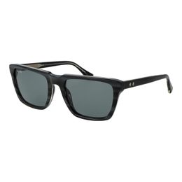 Web Sonnenbrille WE0379 20A 55