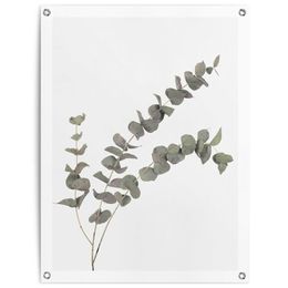 Poster Reinders "Eukalyptus", gr&uuml;n (farbe bild(er): gr&uuml;n), B:60cm H:80cm T:0,1cm, Leinwand, Bilder, Poster, Outdoor f&uuml;r Garten oder Balkon