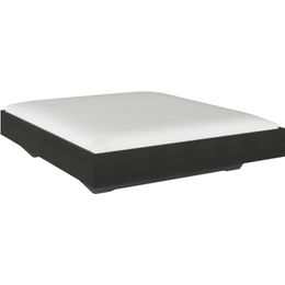 Futonbett Rauch "Phoenix", grau (grau hochglanz), B:185cm H:41cm L:206cm, Betten, Futonbett, ohne Kopfteil
