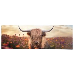 Poster Reinders "Spring Highlander", braun (farbe bild(er): braun), B:158cm H:53cm T:0,1cm, Bilder, Poster, Wohnzimmer - Schottischer Hochl&auml;nder - Flora - 170 gr. Papier