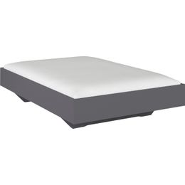Futonbett Rauch "Phoenix", grau (graumetallic), B:145cm H:41cm L:206cm, Betten, Futonbett, ohne Kopfteil