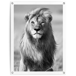 Poster Reinders "L&ouml;we", schwarz (farbe bild(er): schwarz, wei&szlig;), B:60cm H:80cm T:0,1cm, Leinwand, Bilder, Poster, Outdoor f&uuml;r Garten oder Balkon