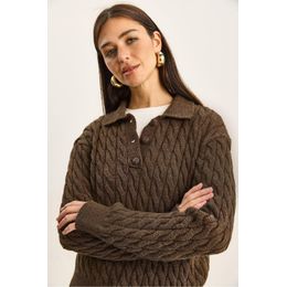 Dicker Zopfmuster-Polo-Hals-Pullover