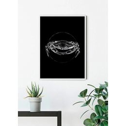 Bild Komar "Crab Black", bunt (farbe bild(er): bunt), B:50cm H:70cm, Holz, Papier, Bilder, Bild, Wandbild zur Dekoration - ohne Rahmen