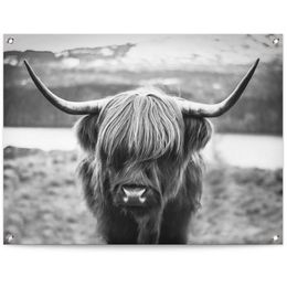 Poster Reinders "Schottische Hochlandrind", schwarz (farbe bild(er): schwarz, wei&szlig;), B:80cm H:60cm T:0,1cm, Leinwand, Bilder, Poster