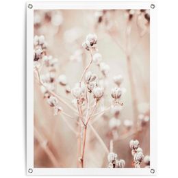 Poster Reinders "Getrockneter Zweig", beige (farbe bild(er): beige), B:60cm H:80cm T:0,1cm, Leinwand, Bilder, Poster