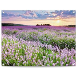 Poster Reinders "Lavender Field", lila (farbe bild(er): lila), B:80cm H:60cm T:0,1cm, Bilder, Poster, Garten - Landschaft - Natur - Lila - Leinwand - 80x60 cm