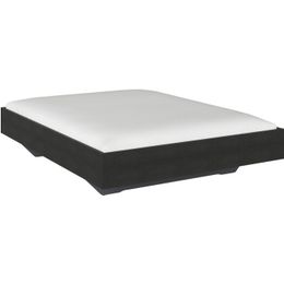 Futonbett Rauch "Phoenix", grau (grau hochglanz), B:165cm H:41cm L:206cm, Betten, Futonbett, ohne Kopfteil