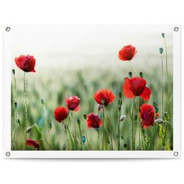 Poster Reinders "Mohnbl&uuml;ten", rot (farbe bild(er): rot), B:80cm H:60cm T:0,1cm, Leinwand, Bilder, Poster, Outdoor f&uuml;r Garten oder Balkon